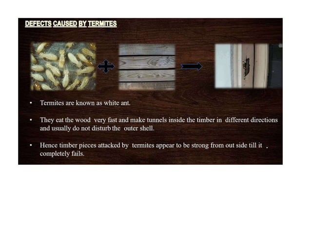 wood structure details seasoning defects | PPT