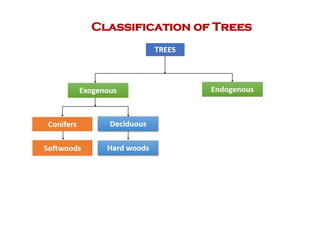 wood structure details seasoning defects | PPT