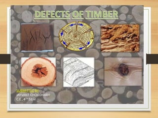 TIMBER its uses properties and defects.pptx
