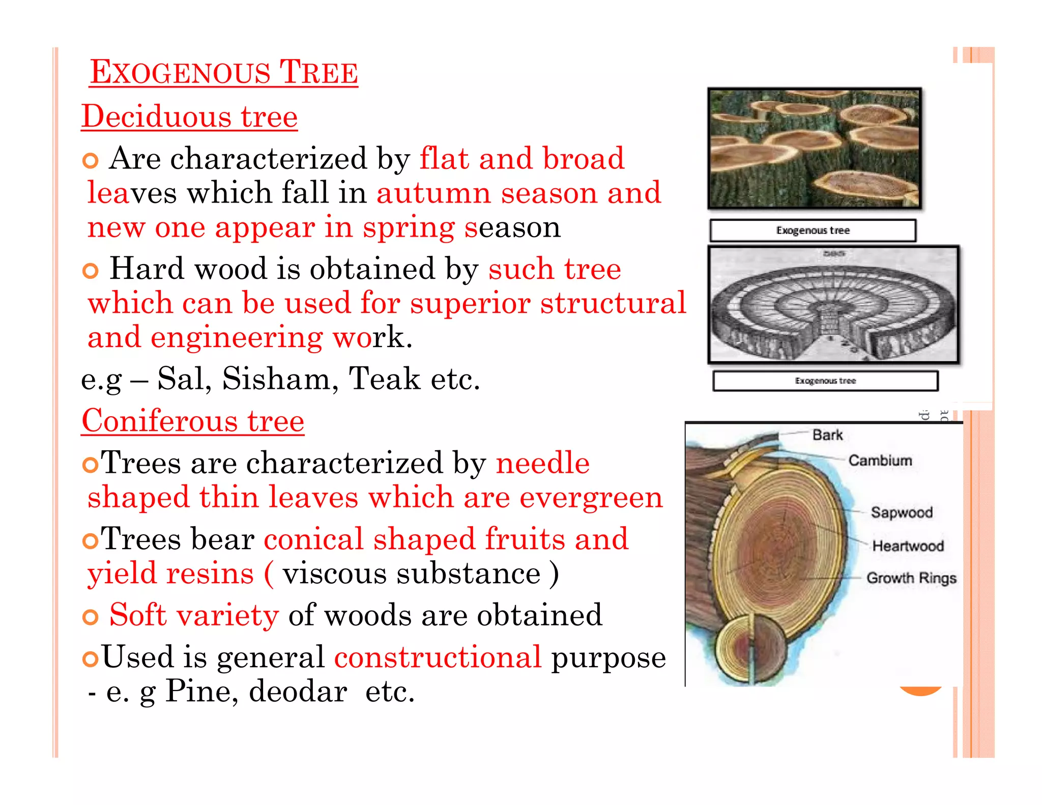 Timber civil engineering material - asst. proff. pramesh hada | PDF