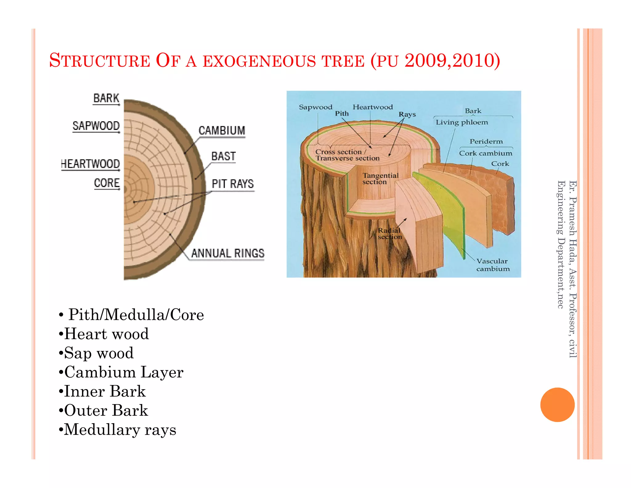 Timber civil engineering material - asst. proff. pramesh hada | PDF