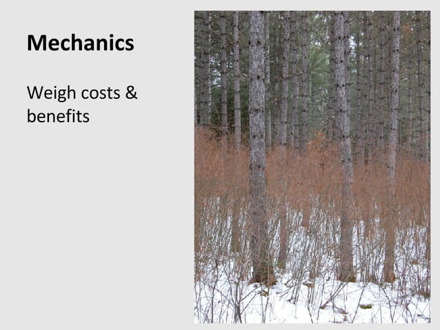 Timber Marking for Loggers | PPT | Woodworking | Arts and Crafts