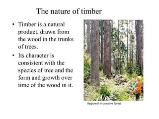 Timber material | PPT