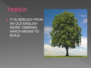 Timber products | PPTX