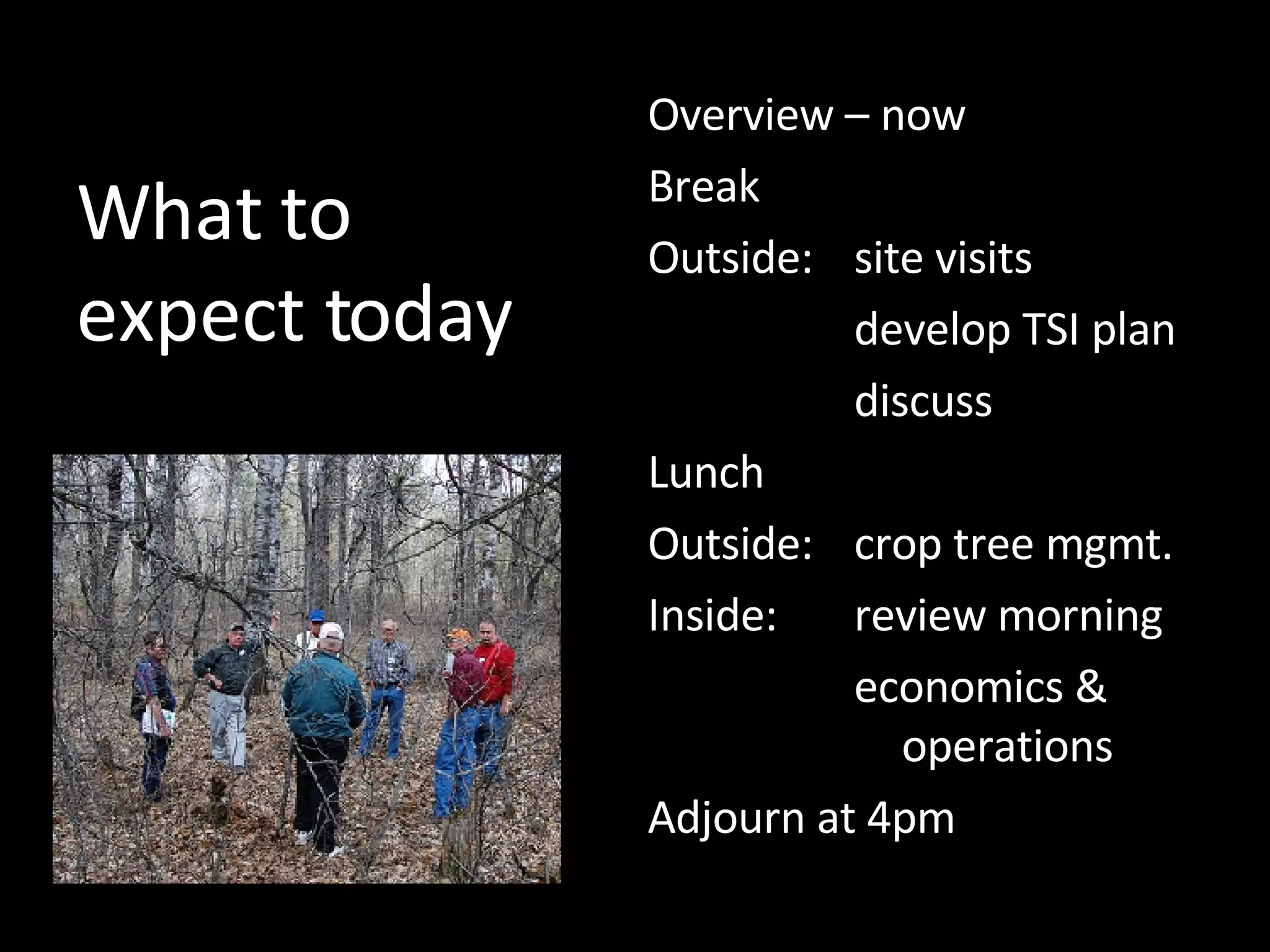 Timber Stand Improvement | PPT