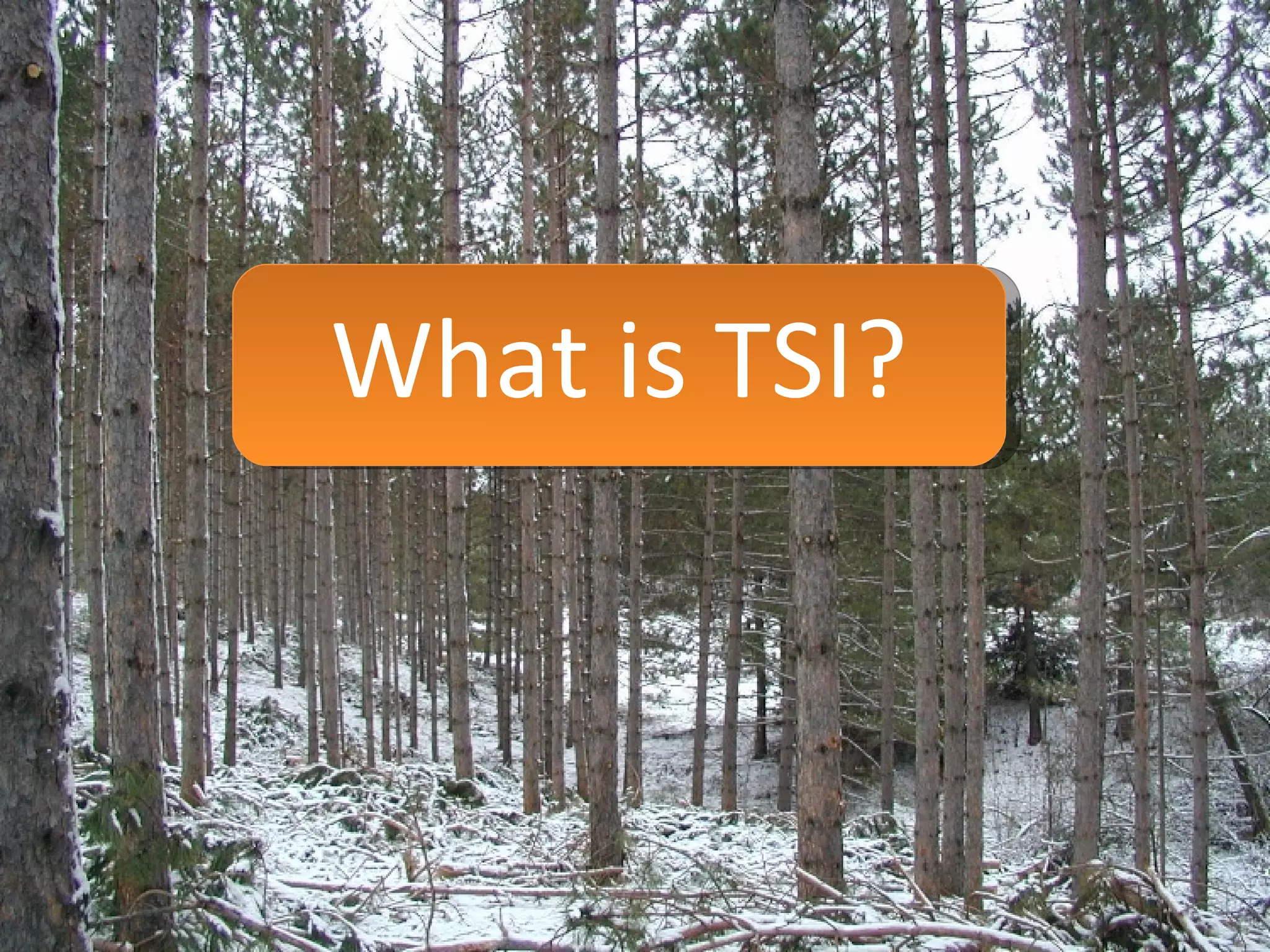 Timber Stand Improvement | PPT