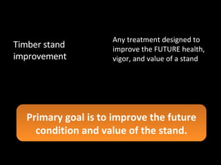 Timber Stand Improvement | PPT