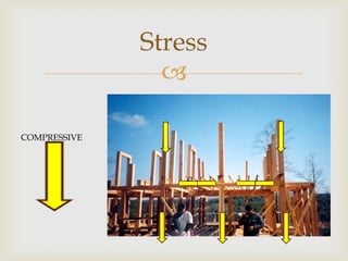 Timber structure | PPTX