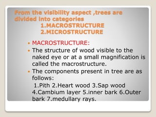 Timber | PPT