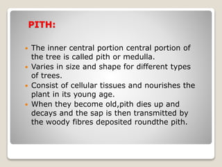 Timber | PPT