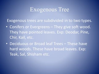 Timber as a building material | PPT