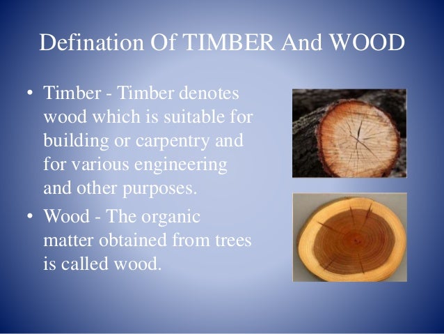Timber as a building material