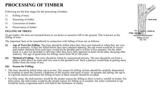 Timber as a Building Material.pptx | Woodworking | Arts and Crafts