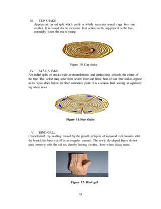 Timber assignment | DOCX