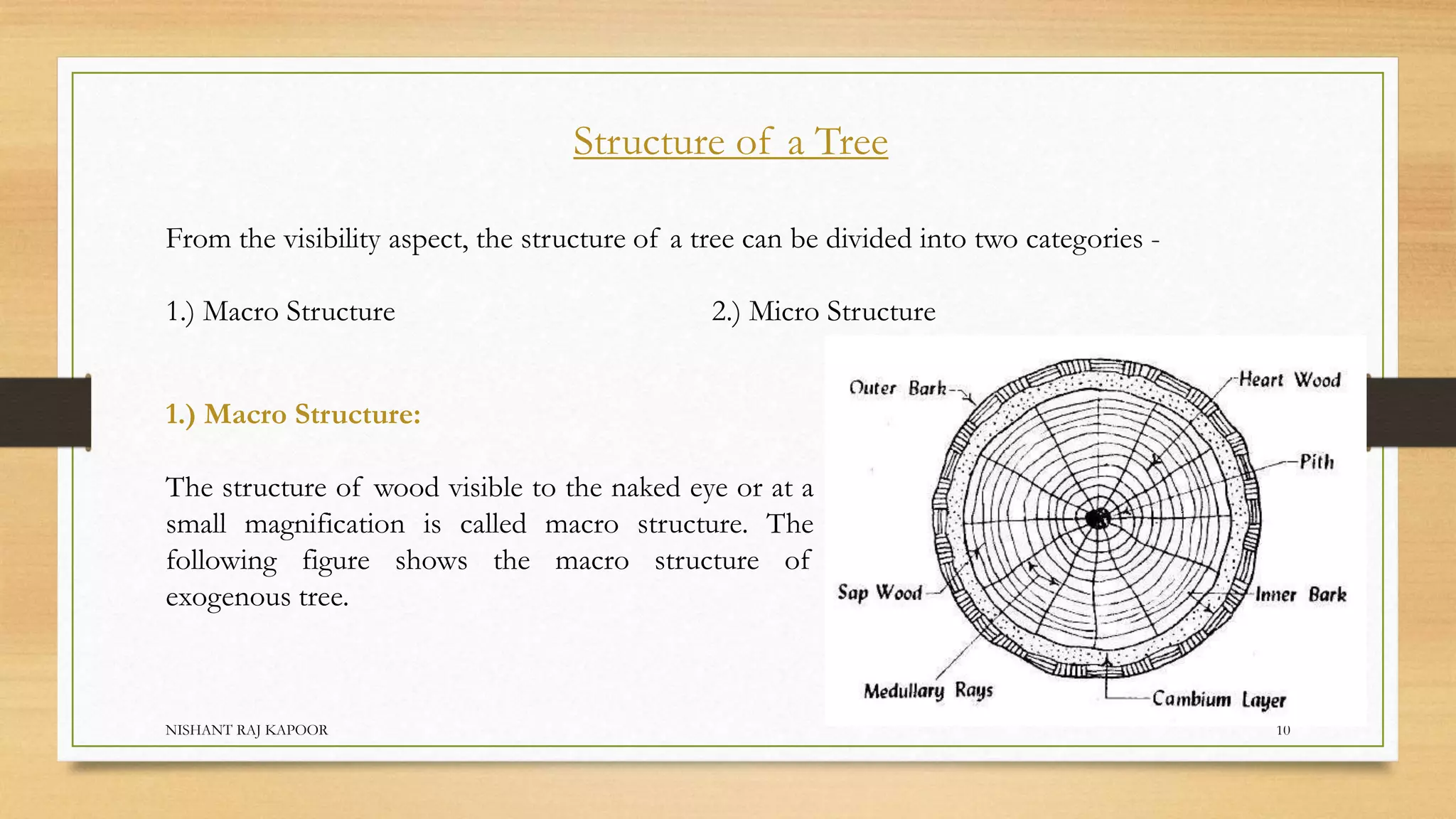 Timber by nishant raj kapoor | PPTX