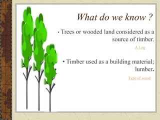 Timber conversion | PPTX