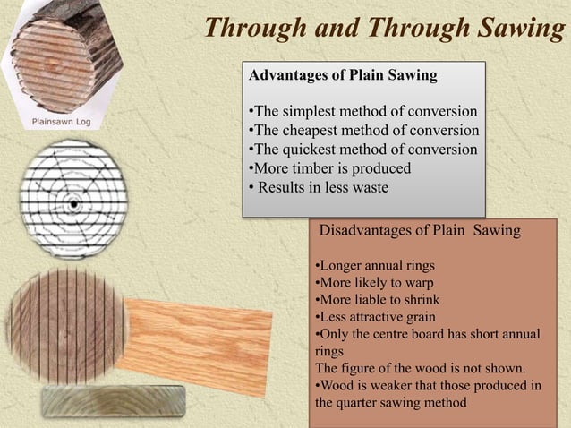 Timber conversion | PPTX | Woodworking | Arts and Crafts