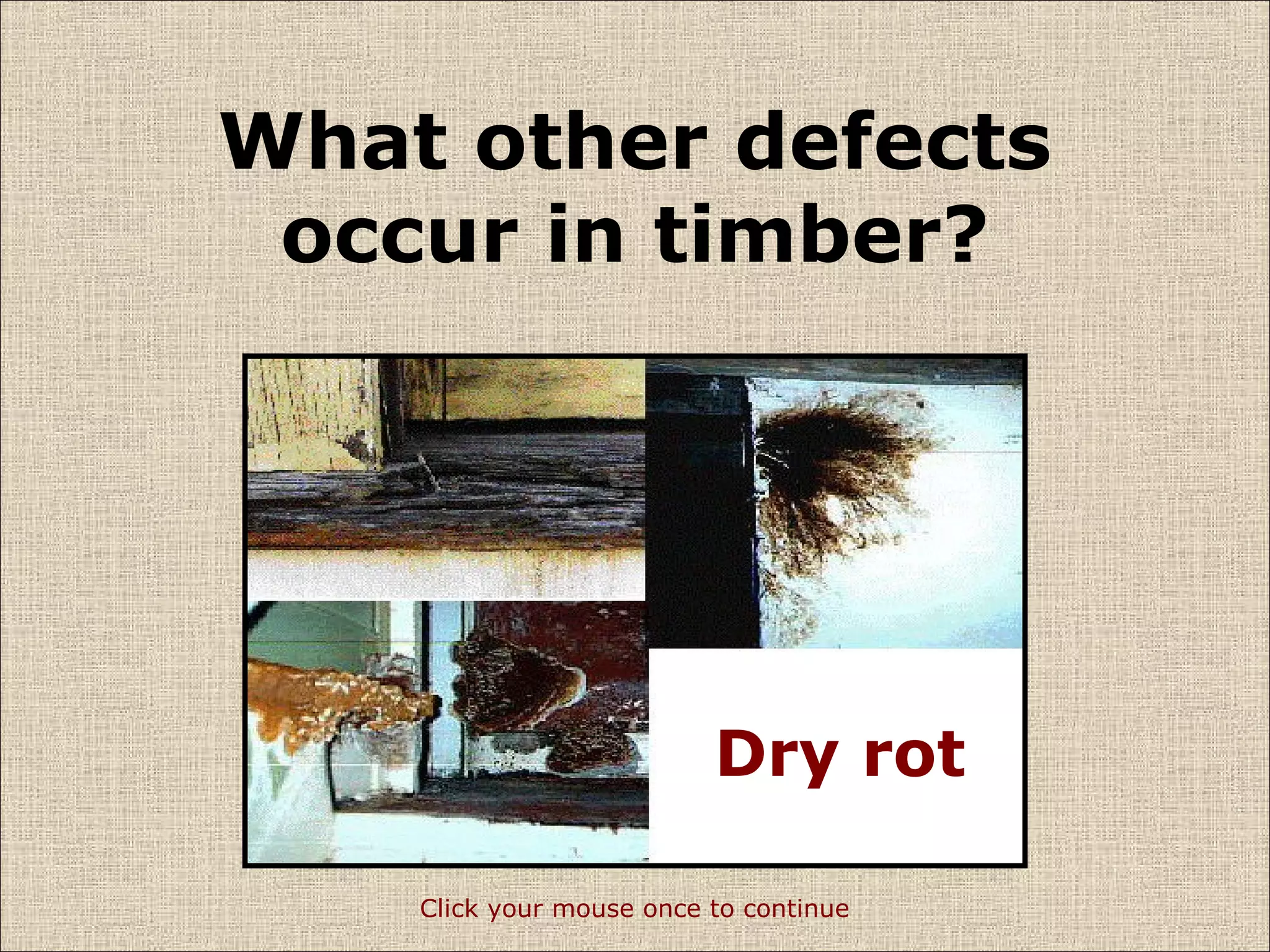 Timber Defects | PPT