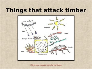 Timber Defects | PPT