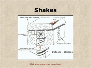 Timber Defects | PPT