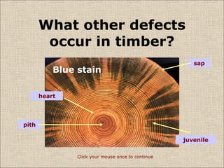 Timber Defects | PPT