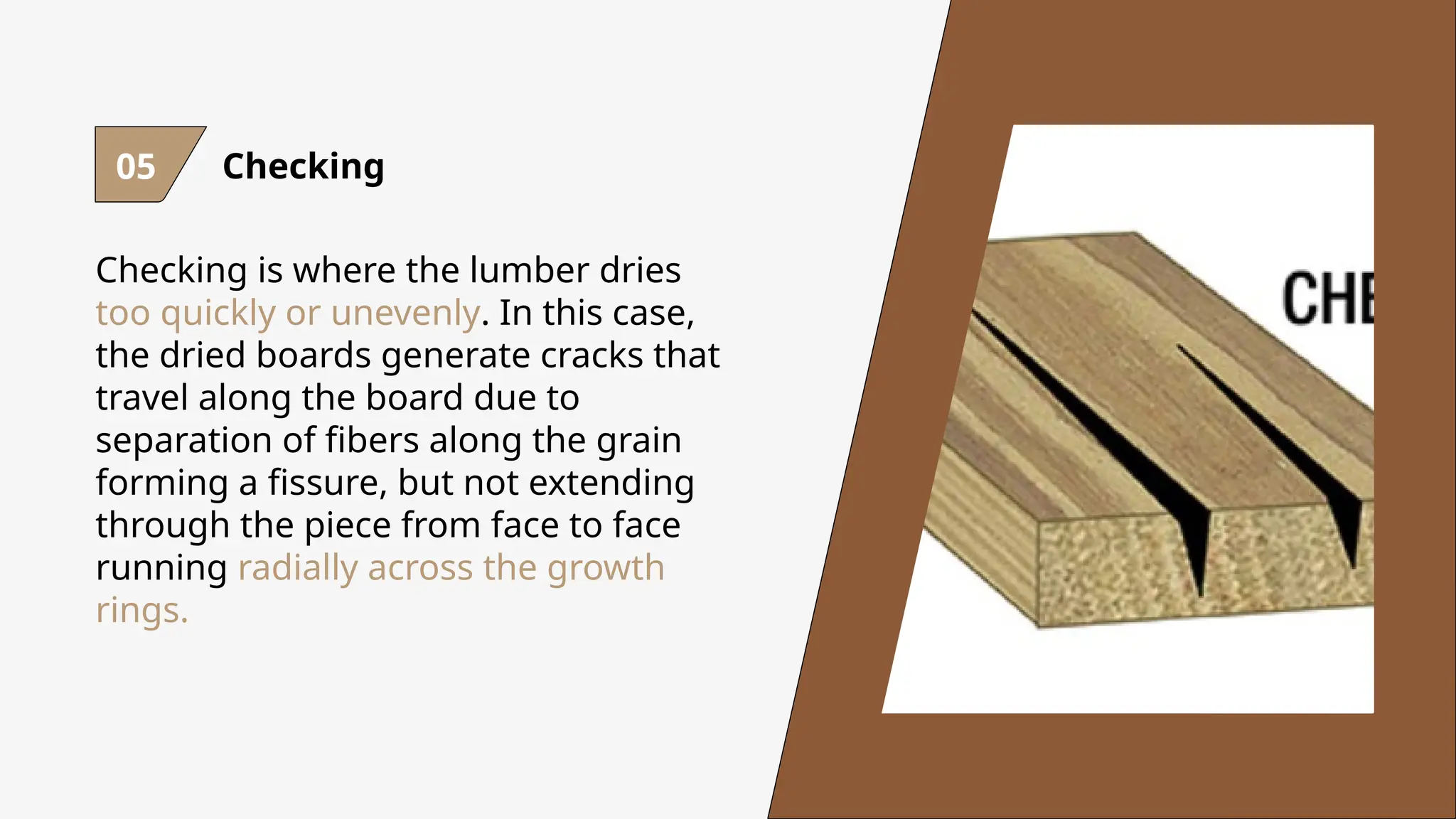 Basic Timber Defects Presentation (1).pptx