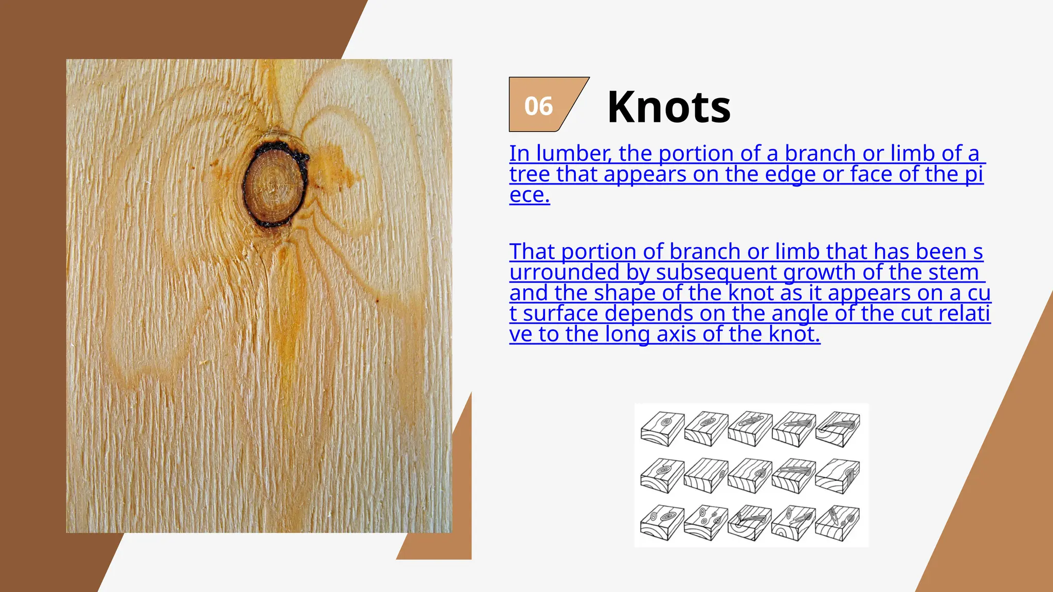 Basic Timber Defects Presentation (1).pptx