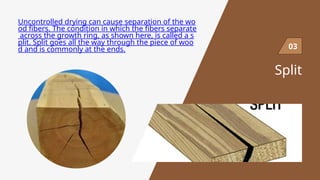 Basic Timber Defects Presentation (1).pptx