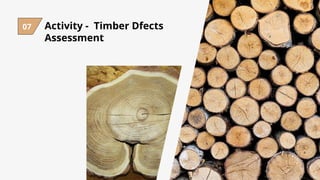 Basic Timber Defects Presentation (1).pptx