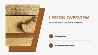 Basic Timber Defects Presentation (1).pptx