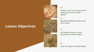 Basic Timber Defects Presentation (1).pptx