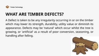 Basic Timber Defects Presentation (1).pptx