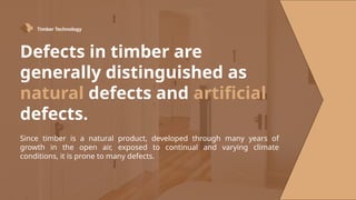 Basic Timber Defects Presentation (1).pptx