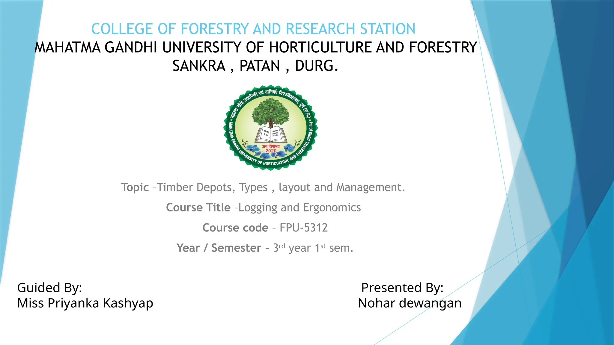 Timber Depot type of depot and layout PPT.pptx