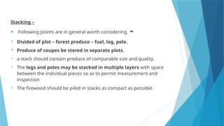 Timber Depot type of depot and layout PPT.pptx