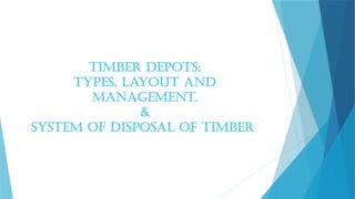 Timber Depot type of depot and layout PPT.pptx