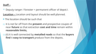 Timber Depot type of depot and layout PPT.pptx