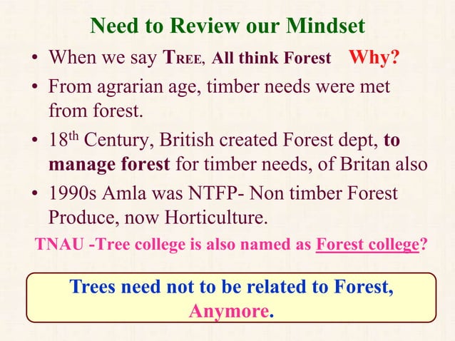 Timber Development Board of India Required under MoAFW, Ministry of ...