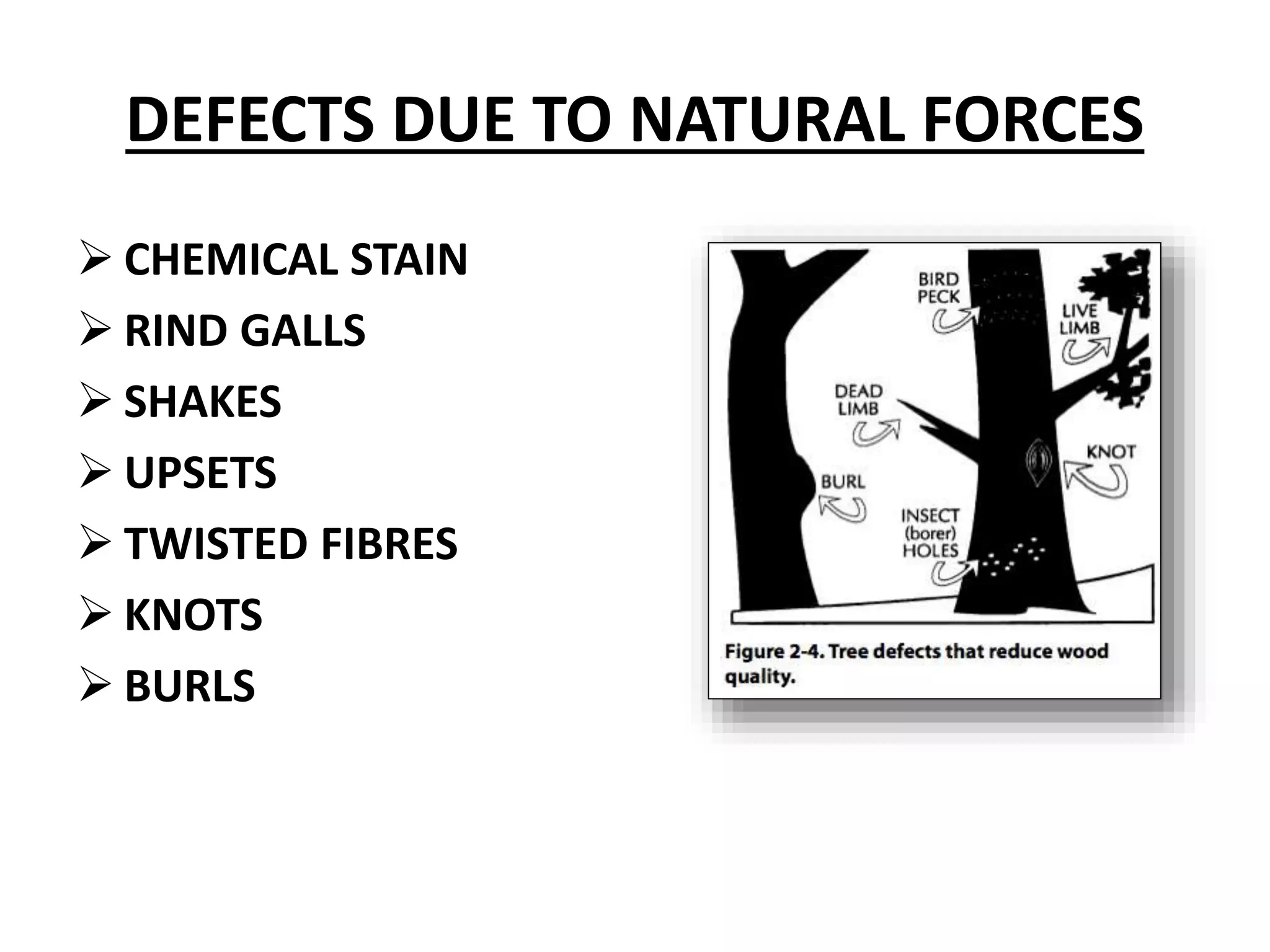 Timber DEFECTS | PPTX