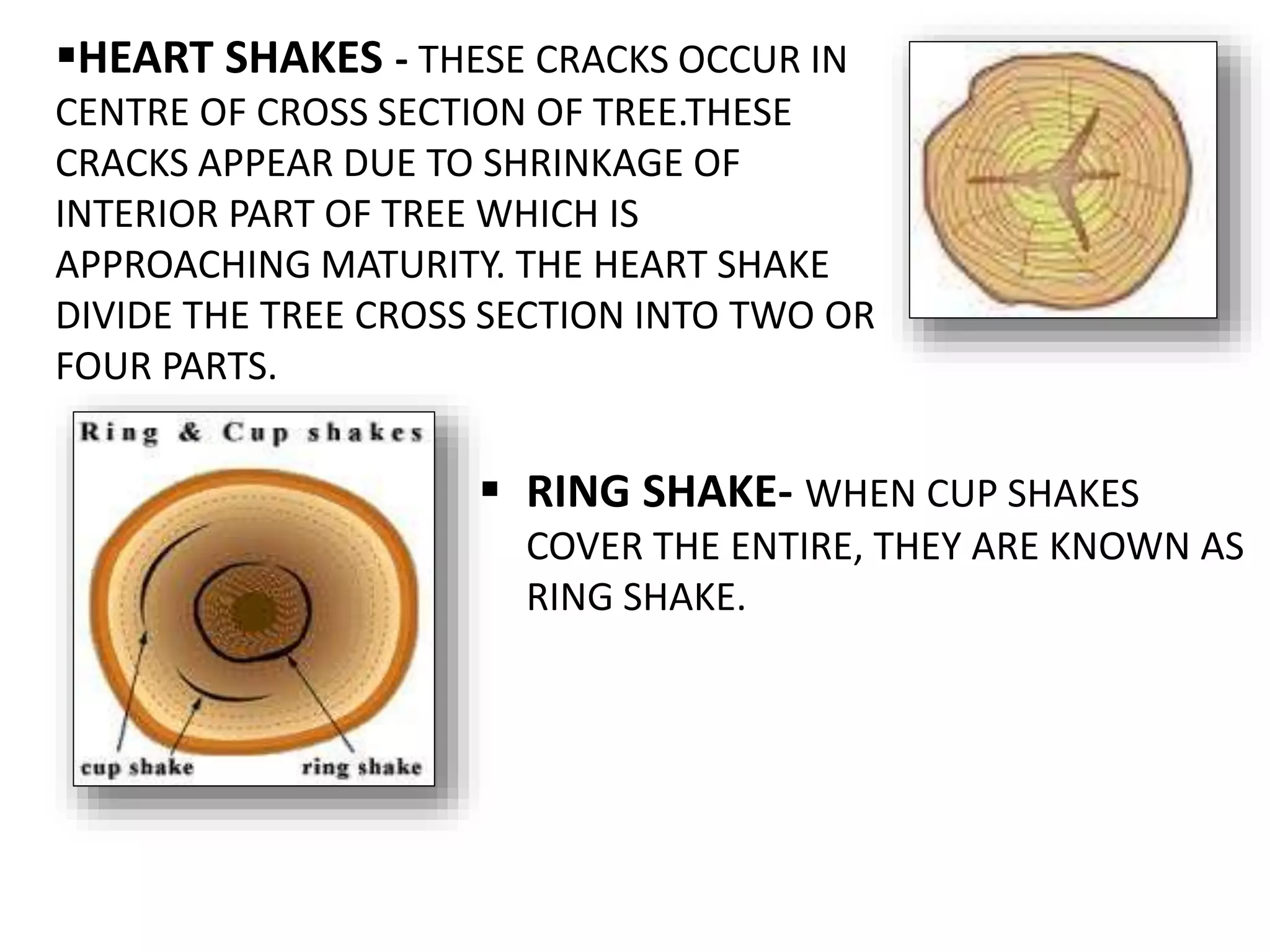 Timber DEFECTS | PPTX