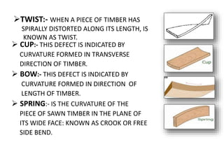 Timber DEFECTS | PPTX