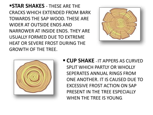 Timber DEFECTS | PPTX | Woodworking | Arts and Crafts