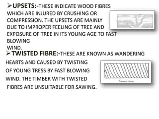 Timber DEFECTS | PPTX