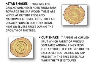 Timber DEFECTS | PPT