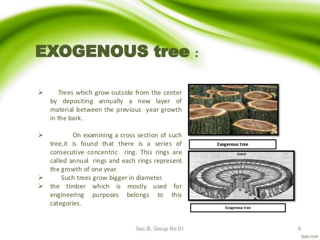 Timber, glass, asbestos geo textile and adhesives