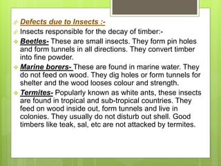 Timber interioor design diwakar kushwaha | PPTX