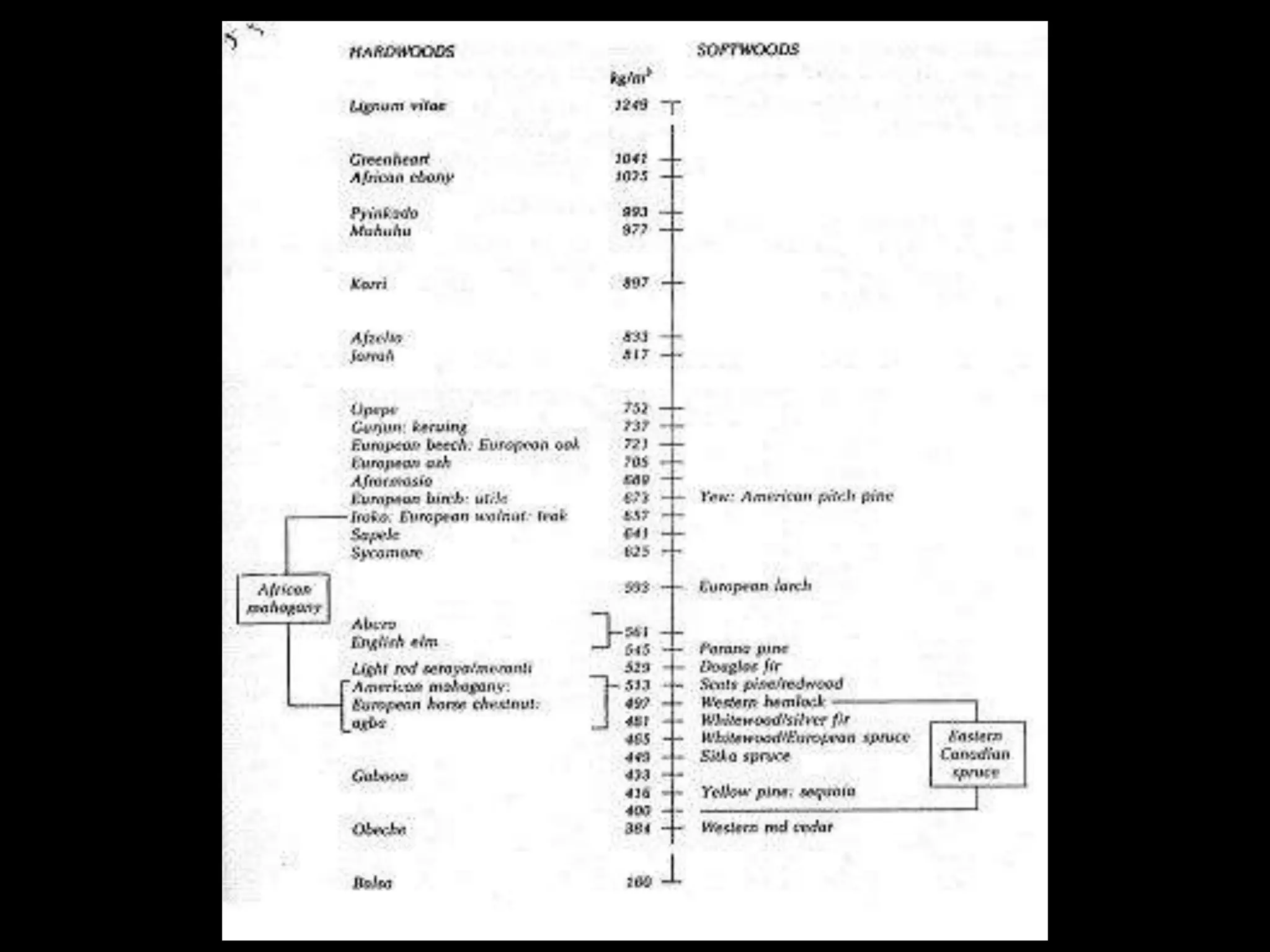 timber introduction | PPTX