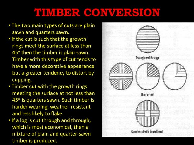 timber introduction | PPT