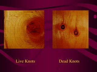 Timber, its use and conections | PDF