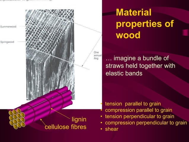 Timber, its use and conections | PDF